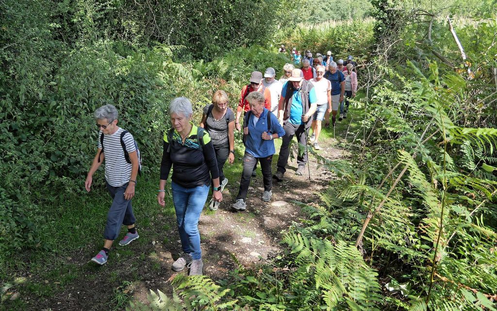 Ronnet - Retraite Sportive Lavault St Anne 03100